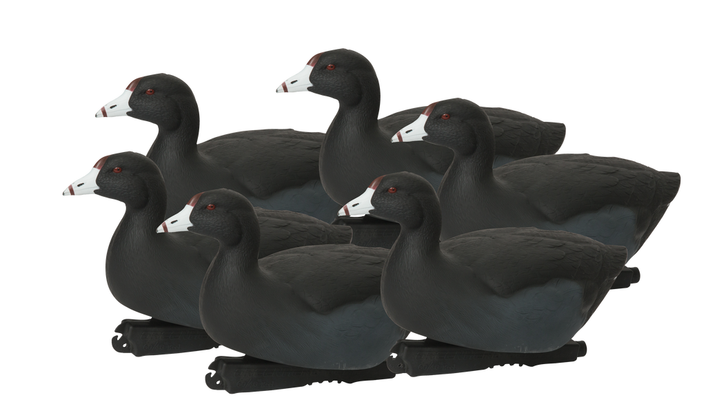 GHG Hunter Series Over Size Coot Decoys | The Boat Shed — The Boat Shed ...